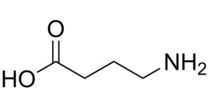 GABA: Benefits, Sources, Side Effects and Uses