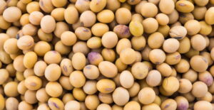 Genistein: Benefits, Sources, Side Effects and Uses
