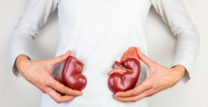Where Are Your Kidneys Located? Understand Their Position and Function